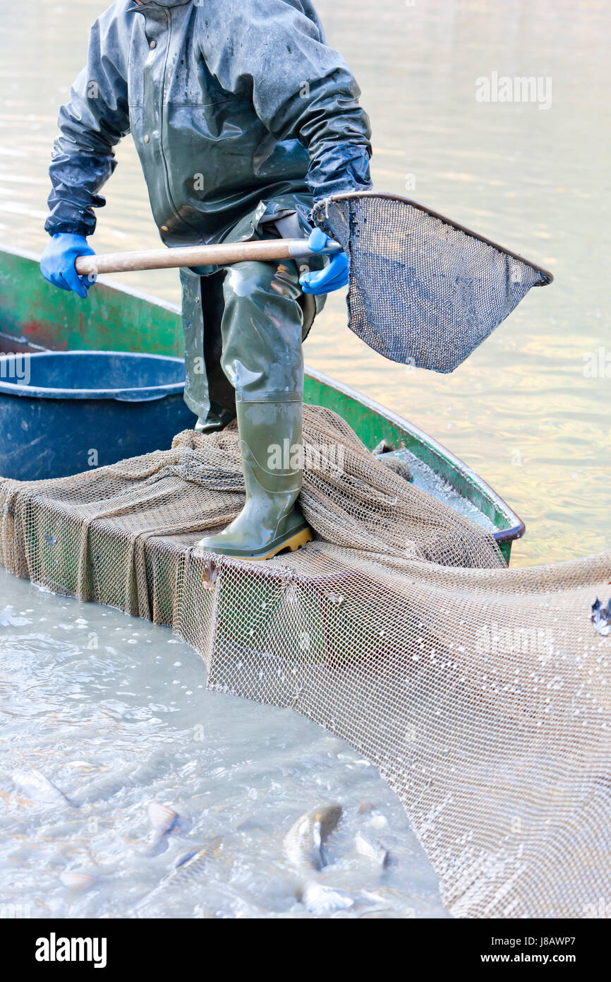 fishing, humans, human beings, people, folk, persons, human, human ...