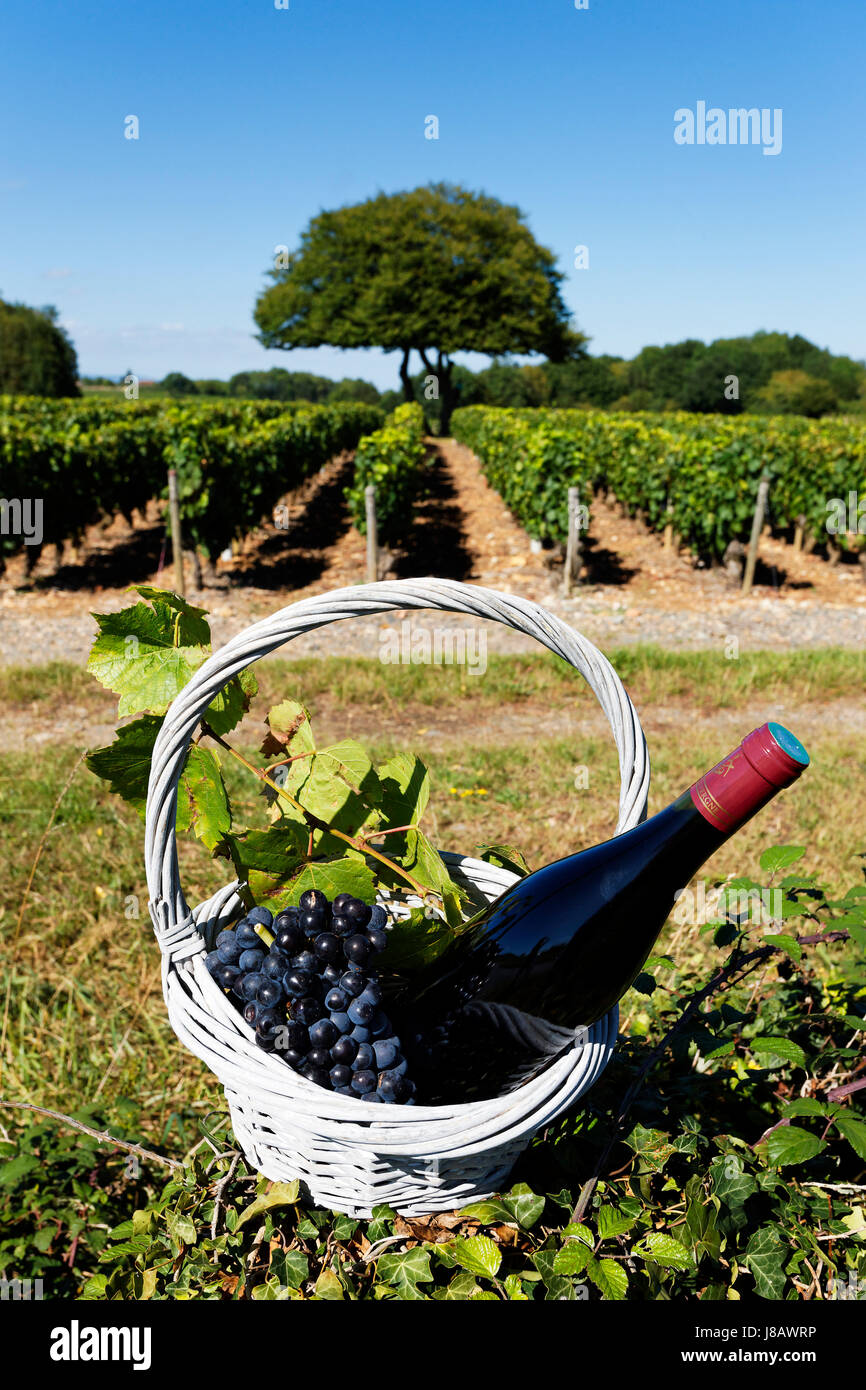 industry, agriculture, farming, wine, harvest, france, bottle, vine ...