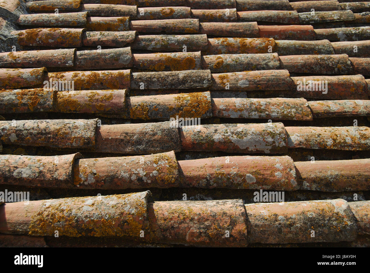 house, building, order, tea, ground, soil, earth, humus, balance ...