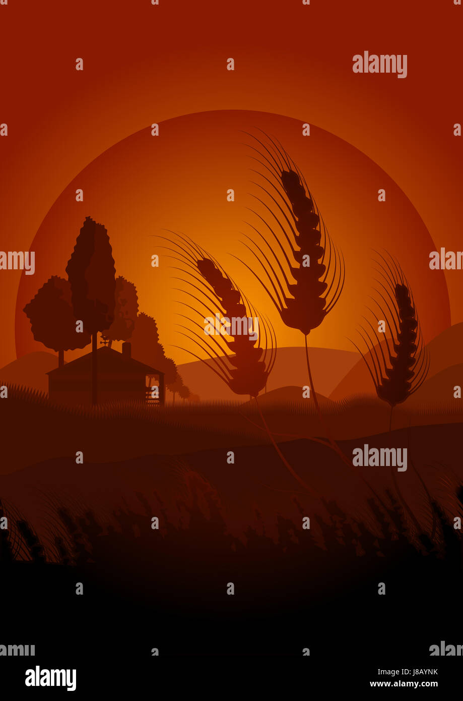 agriculture, farming, field, grain, farm, farmhouse, barley, cereal ...