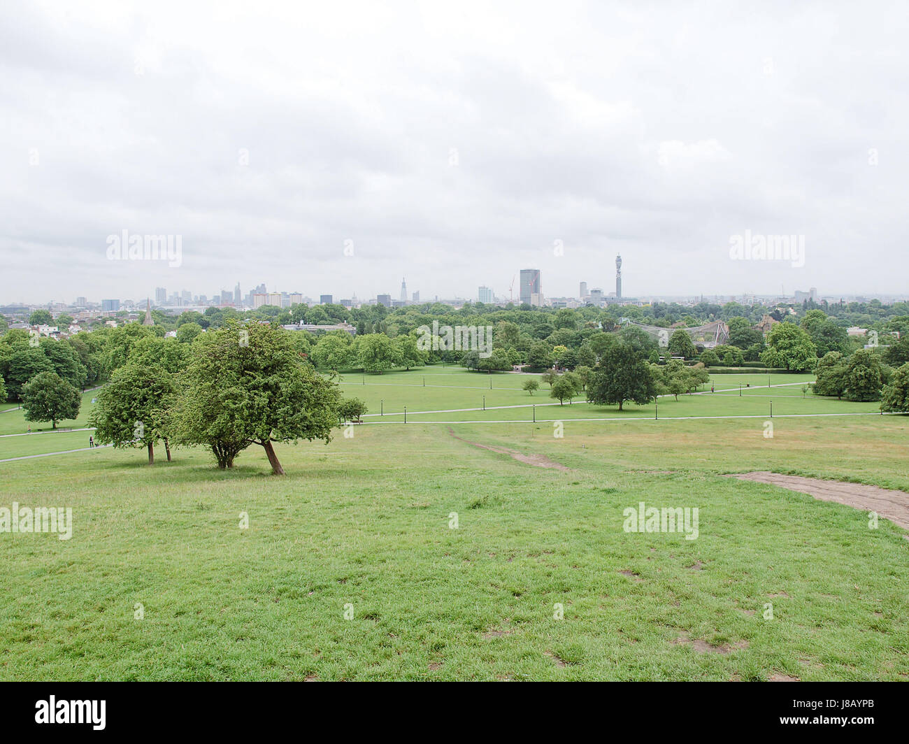 blue, europe, england, british, britain, english, meadow, grass, lawn ...