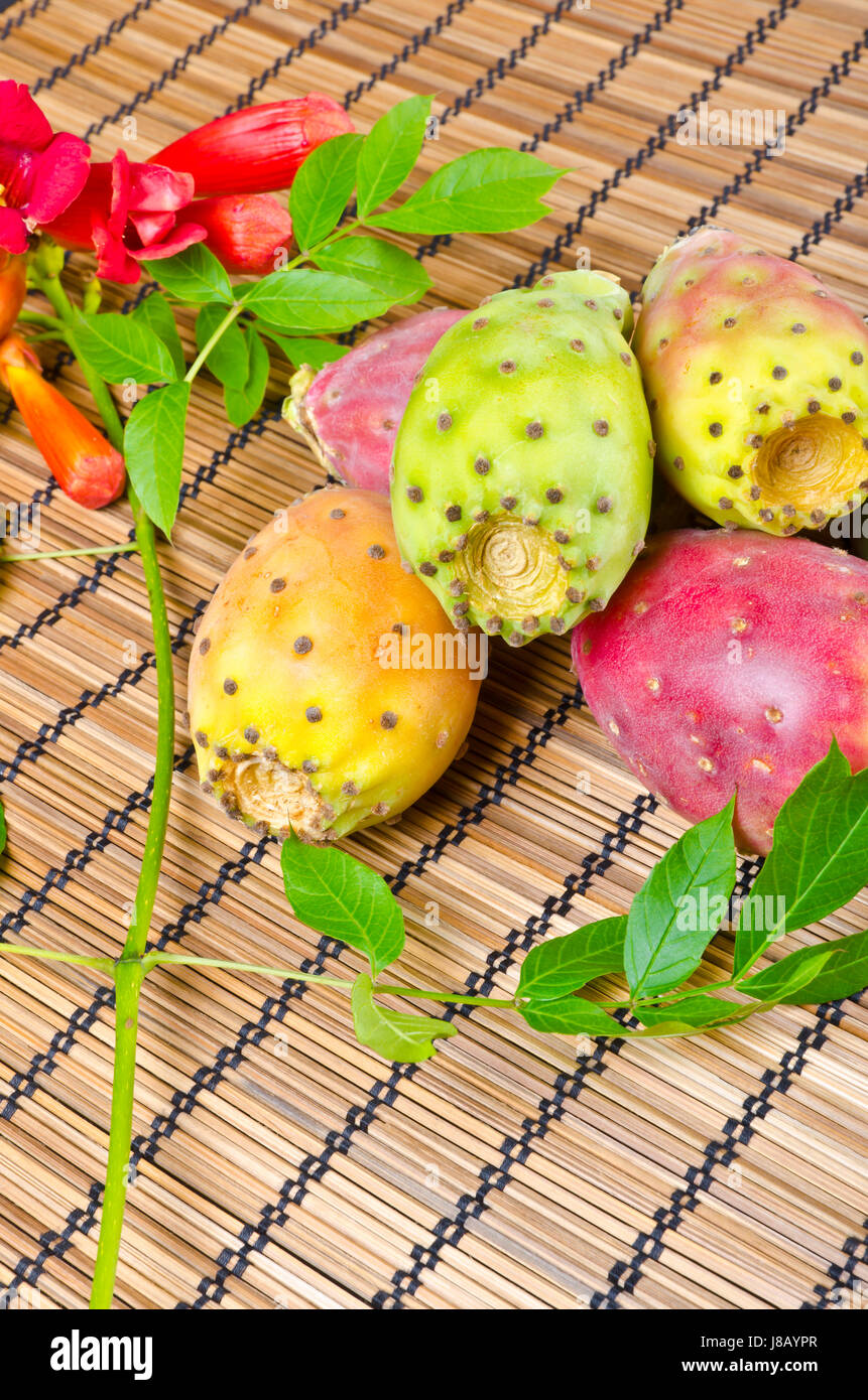food, aliment, green, fruit, cactus, pear, bulb, nature, orange, food ...