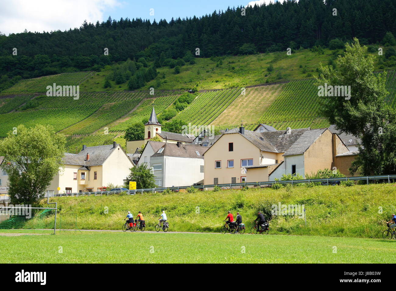 castle on the mosel bike path withrn Stock Photo - Alamy