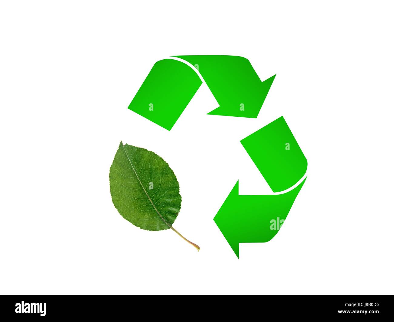 leaf, environment, enviroment, colour, model, design, project, concept ...