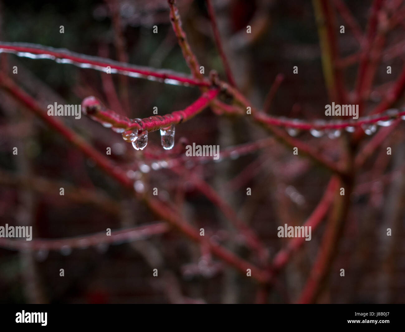 Frozen water lots ice hi-res stock photography and images - Alamy