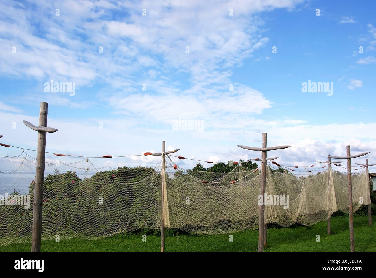 Catch sight of hi-res stock photography and images - Alamy
