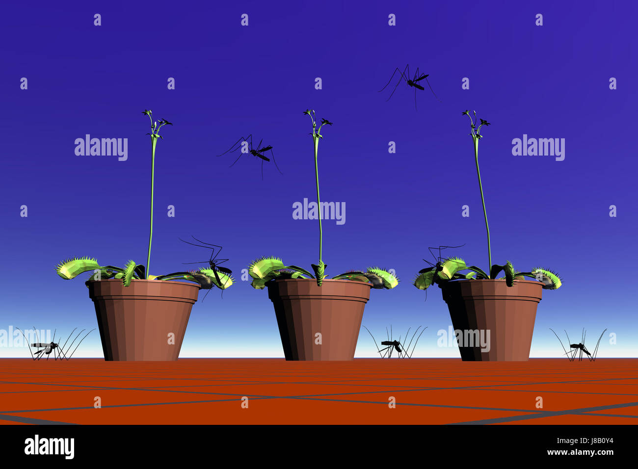 flowerpot, pot, midges, eaten, dead, fly, flies, flys, flying, plant ...