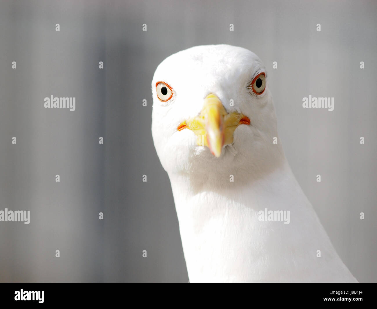 Hypnotized view hi-res stock photography and images - Alamy