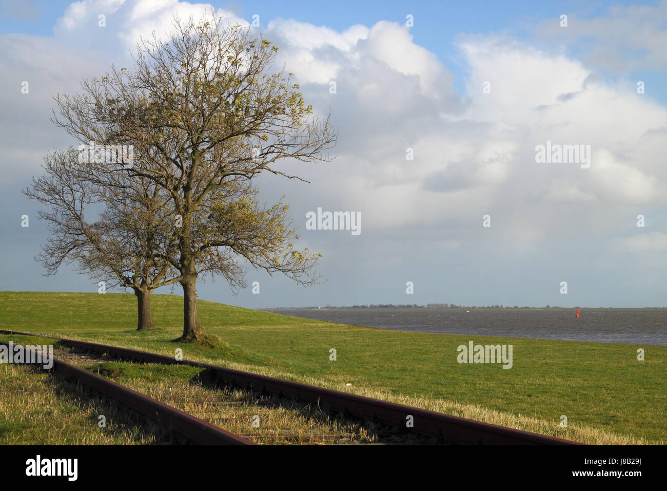 tree, trees, gravel, railway, rails, meadow, railway, locomotive, train ...
