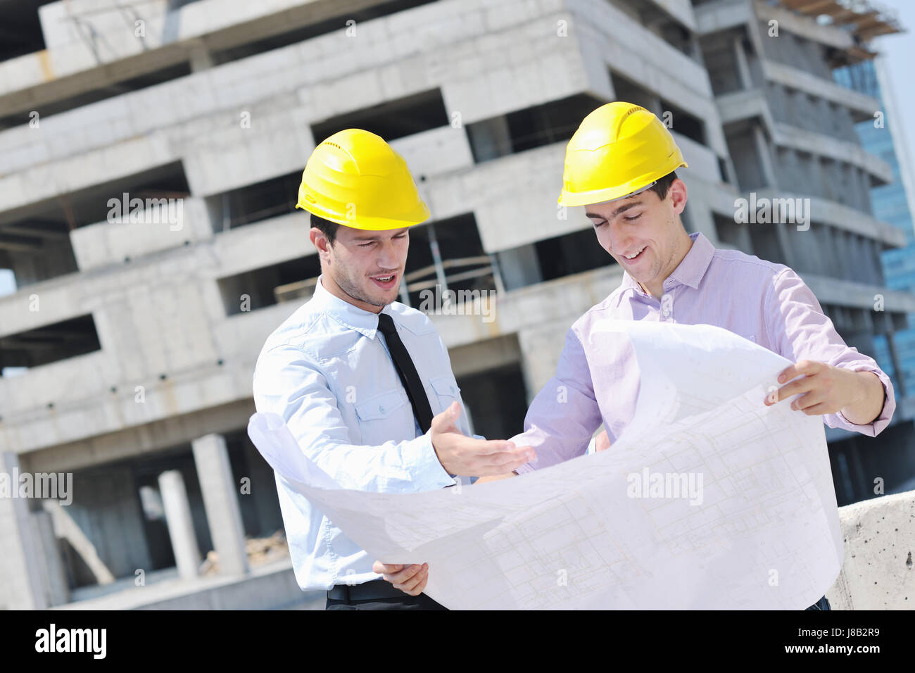 humans, human beings, people, folk, persons, human, human being, office ...