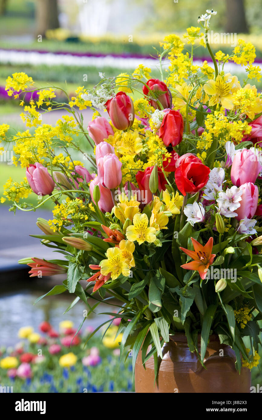 garden, still life, detail, closeup, garden, flower, plant, coloured ...