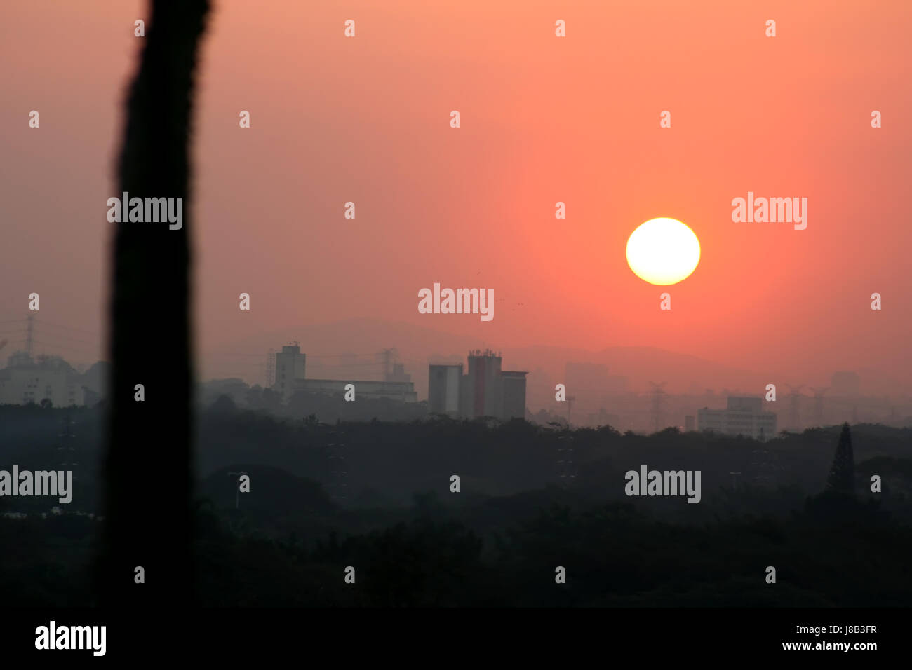 tree, night, nighttime, sunset, romantic, haze, sunrise, evening ...