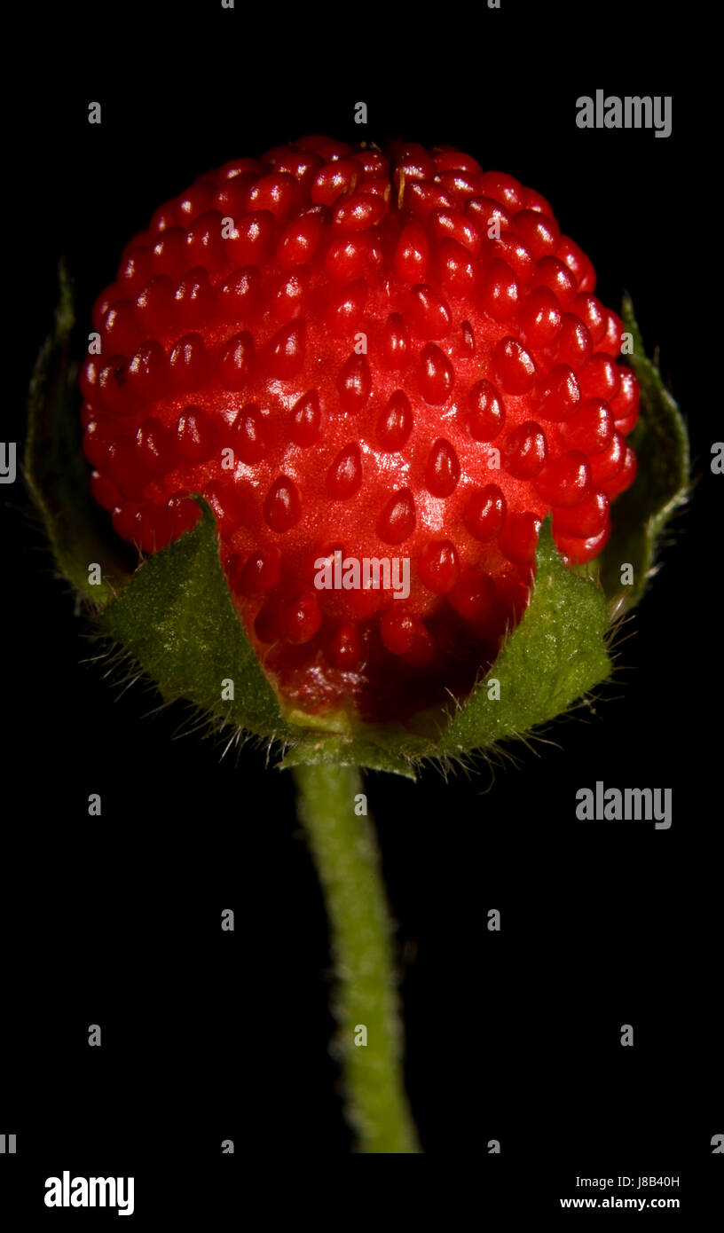 On the back of the figure hi-res stock photography and images - Alamy