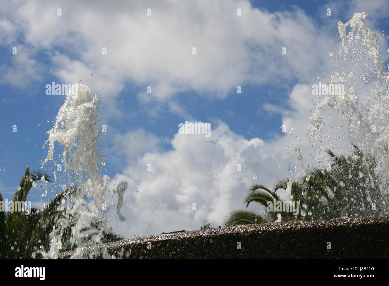 fountain, wet, palm tree, dash, source, brimming over, water drop ...