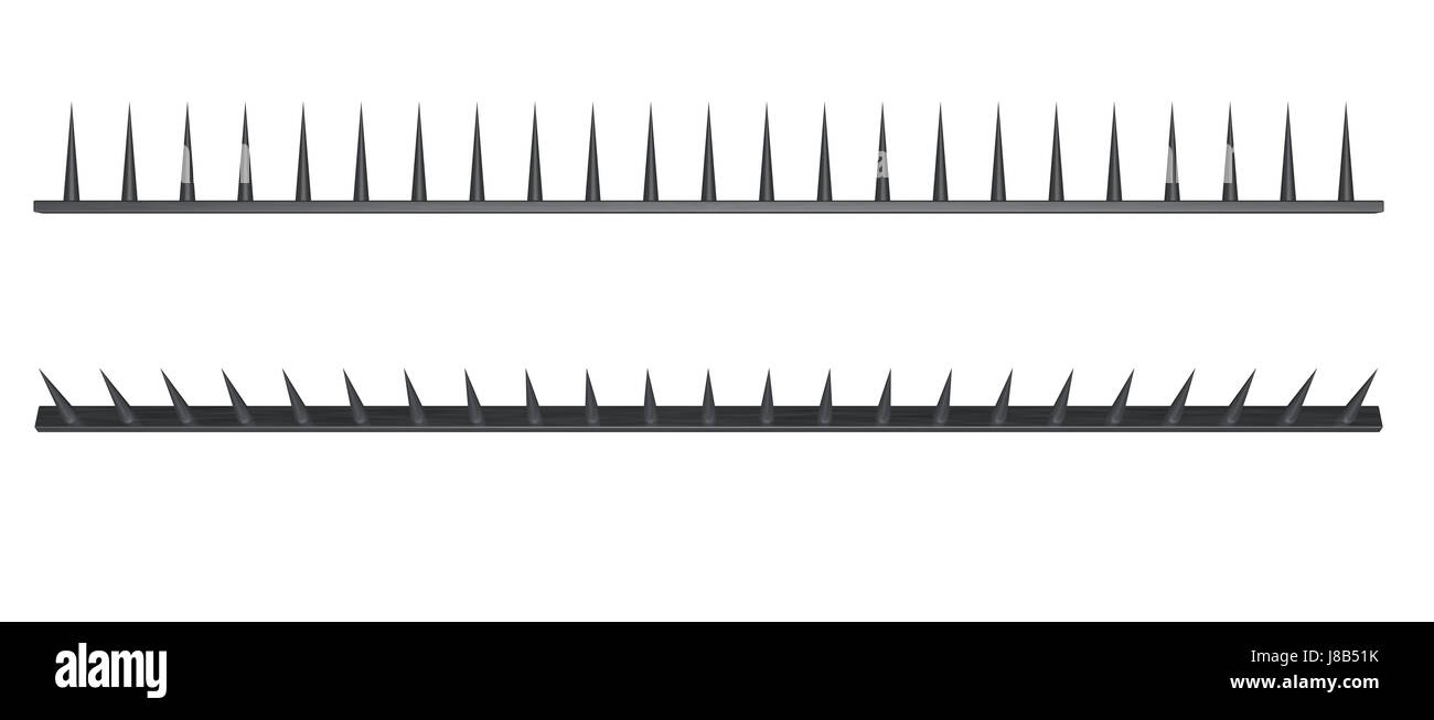 Stachelband hi-res stock photography and images - Alamy