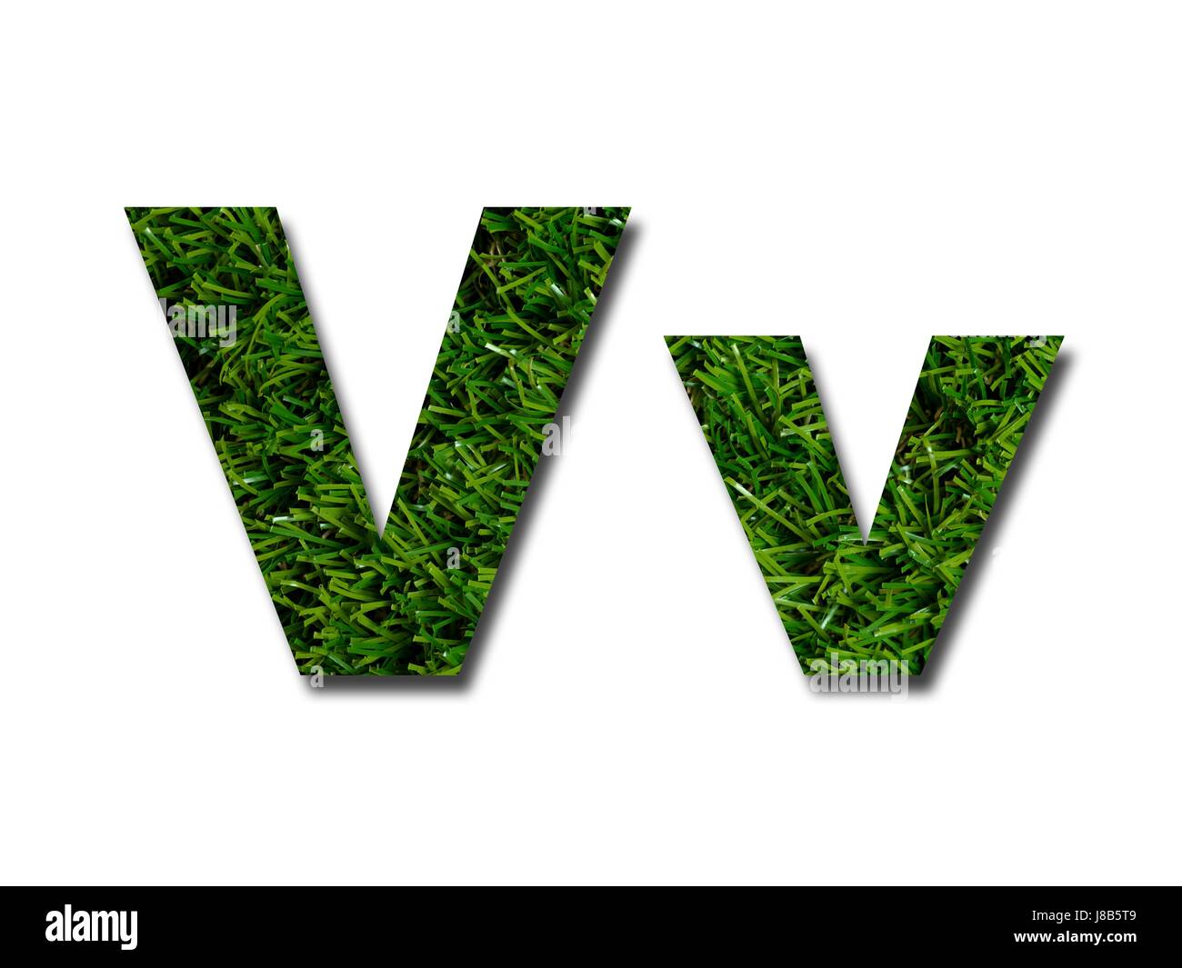 type, beautiful, beauteously, nice, model, build, environment ...