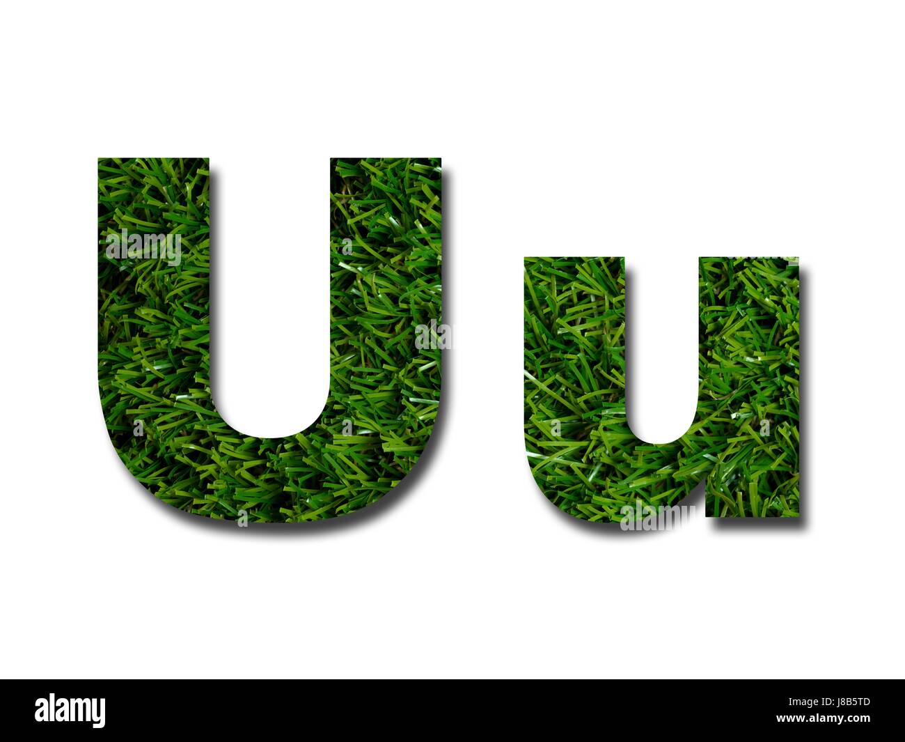 type, beautiful, beauteously, nice, model, build, environment ...