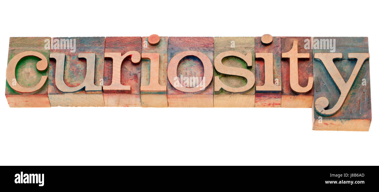 curiosity, word, letterpress, type, model, build, isolated, wood ...