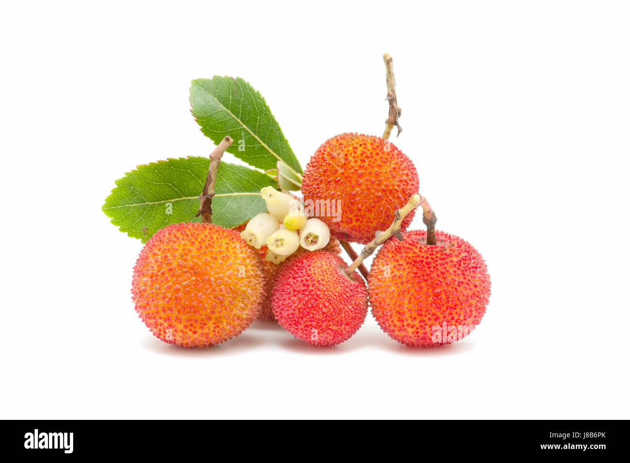 progenies, fruits, berries, arbutus, food, aliment, leaf, macro, close ...