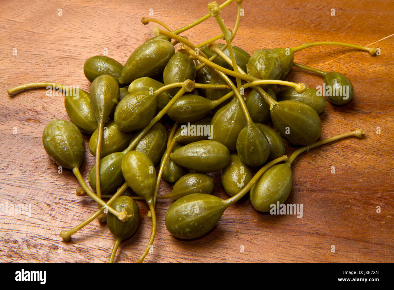 isolated, closeup, water, mediterranean, salt water, sea, ocean, bud ...