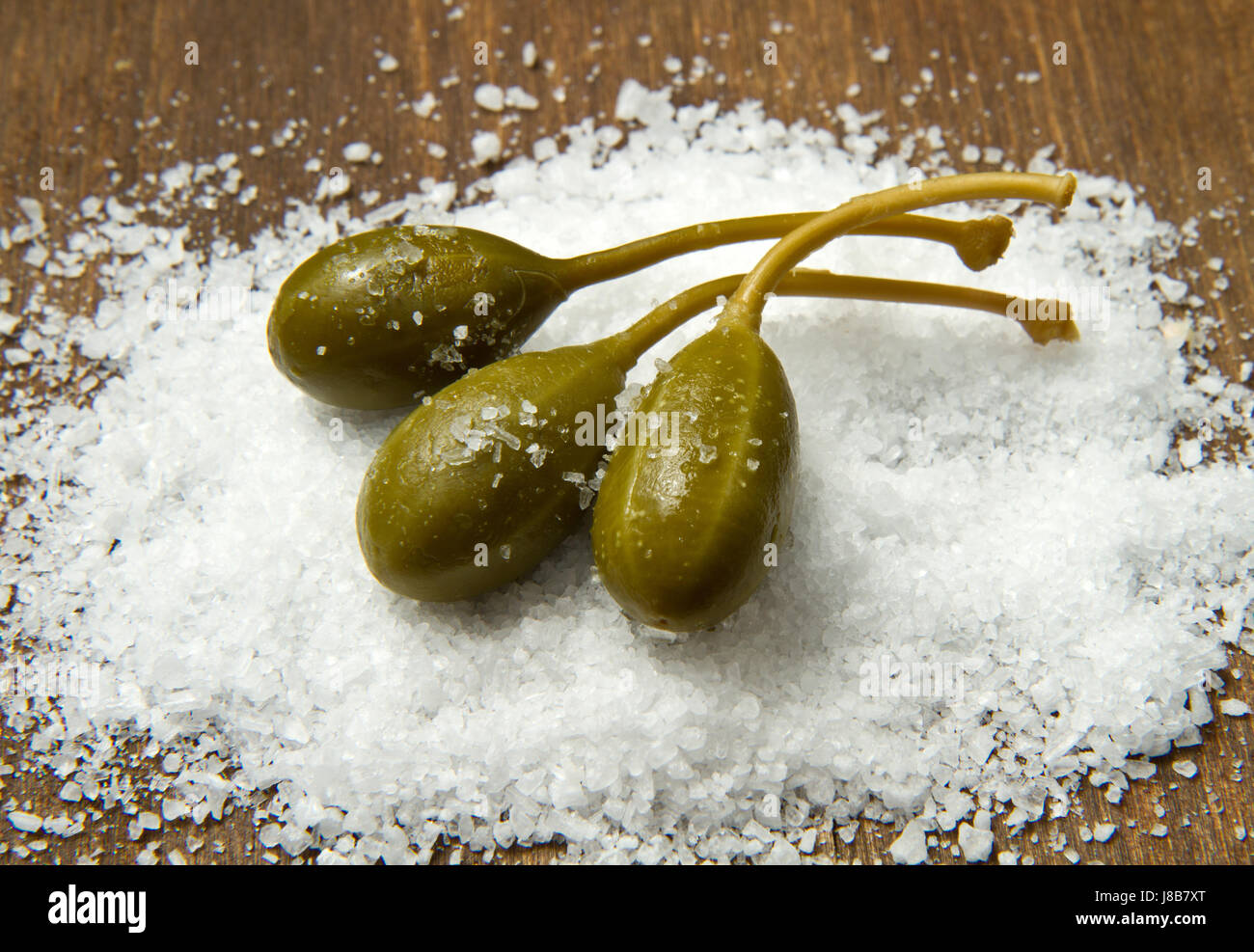 isolated, closeup, water, mediterranean, salt water, sea, ocean, bud ...
