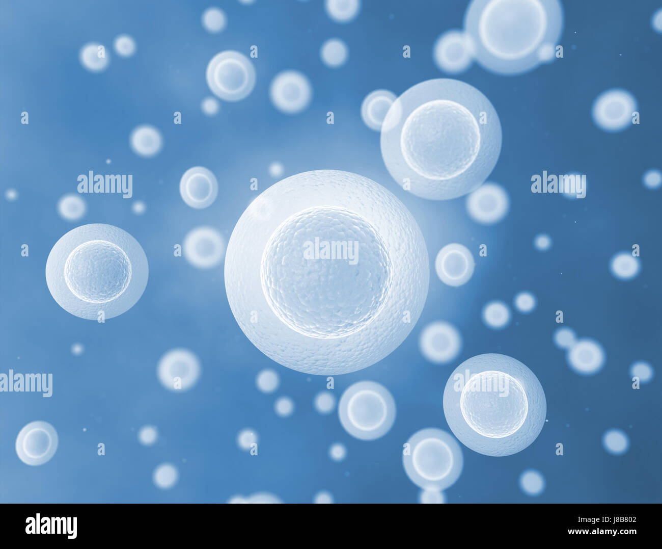 life, exist, existence, living, lives, live, science, research, egg ...