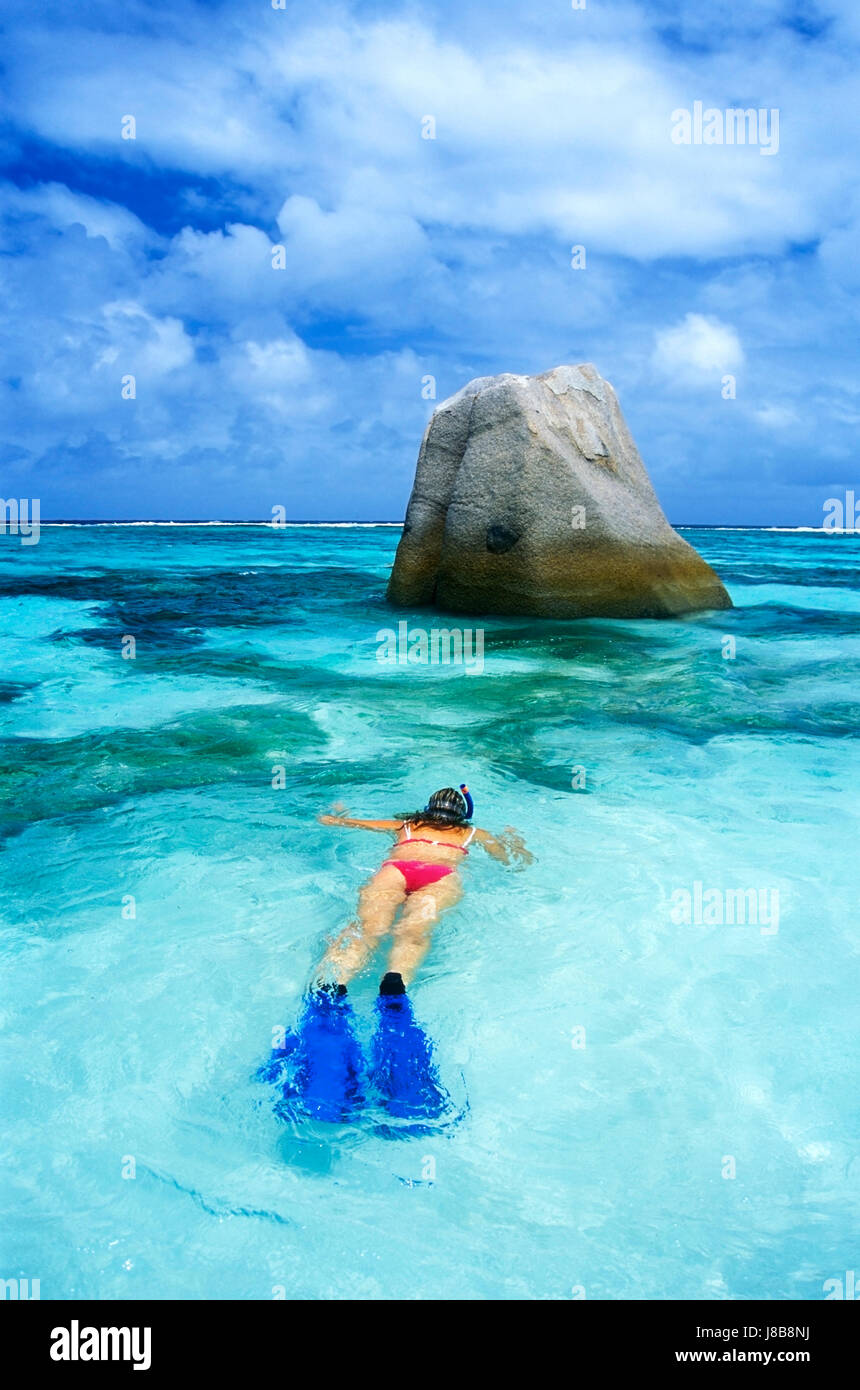 beach, seaside, the beach, seashore, woman, humans, human beings ...