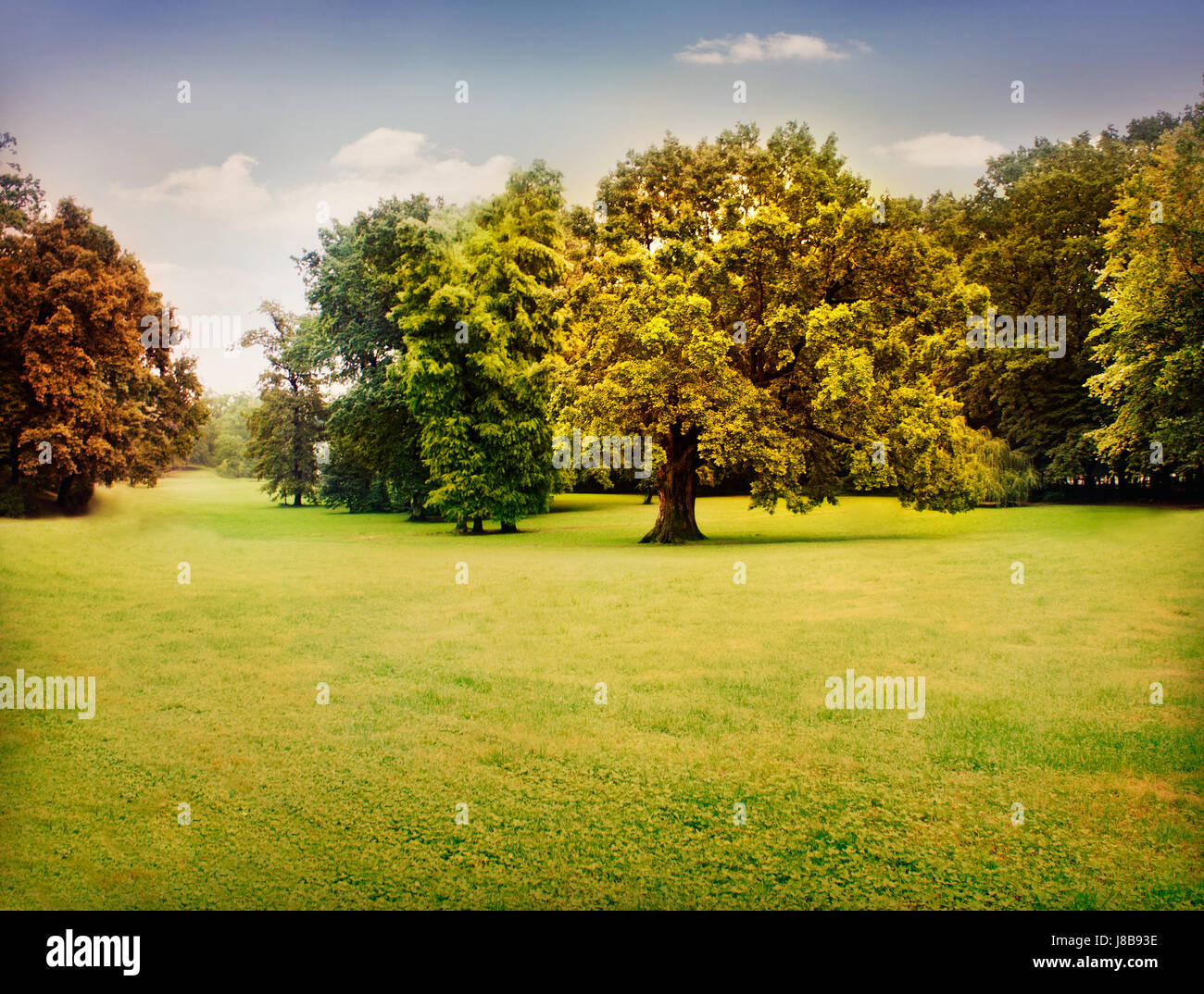 beautiful, beauteously, nice, tree, trees, pastel, landscape, scenery ...