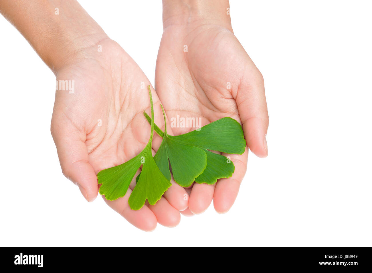 hand, hands, isolated, hold, possession, holding, woman, close, humans ...