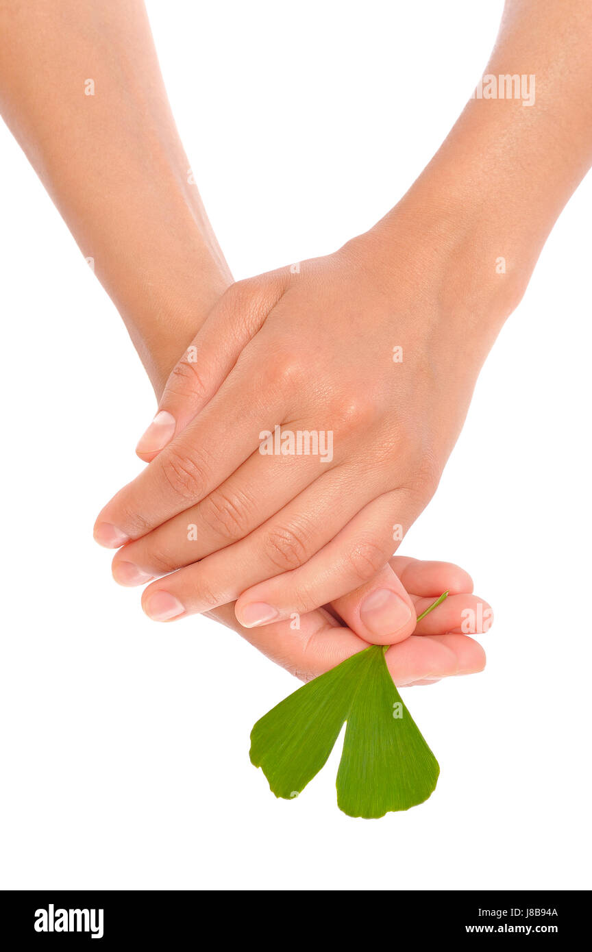 hand, hands, isolated, hold, possession, holding, woman, close, humans ...
