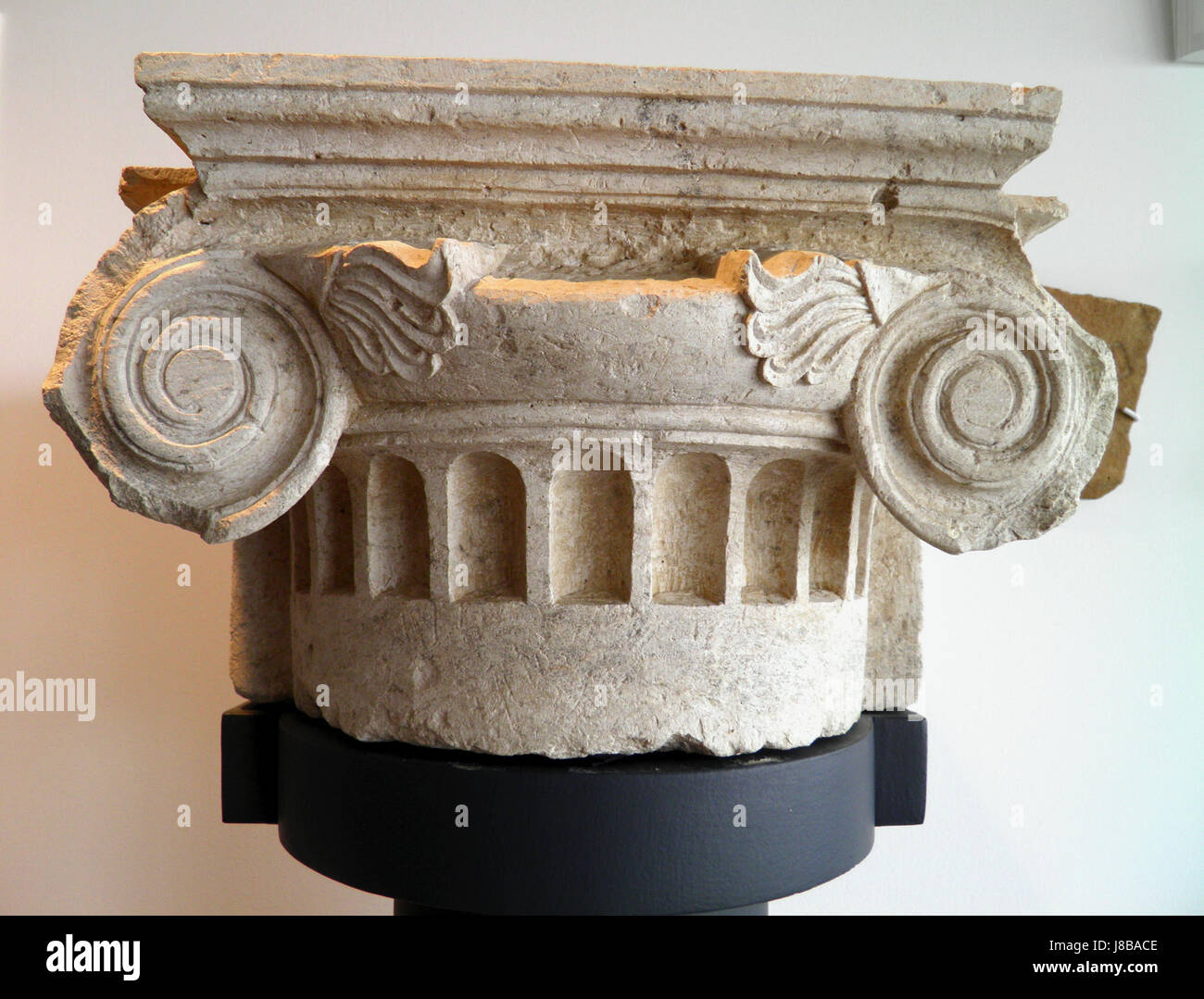 Ionic pilaster capital from the palace, Archaeological Museum, Pella ...