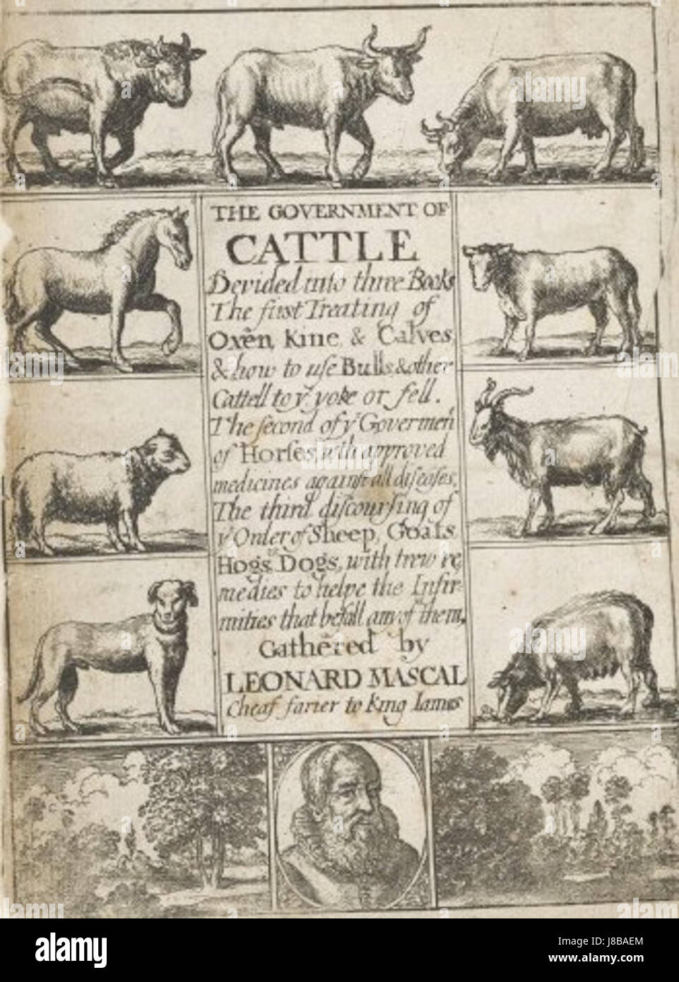 The 'Government of Cattle 1662' refers to a historical governance ...