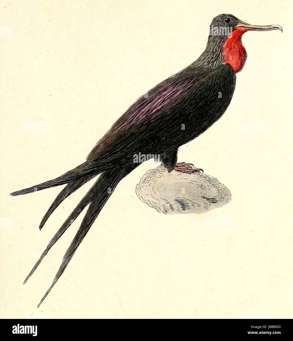 Aquila map hi-res stock photography and images - Alamy