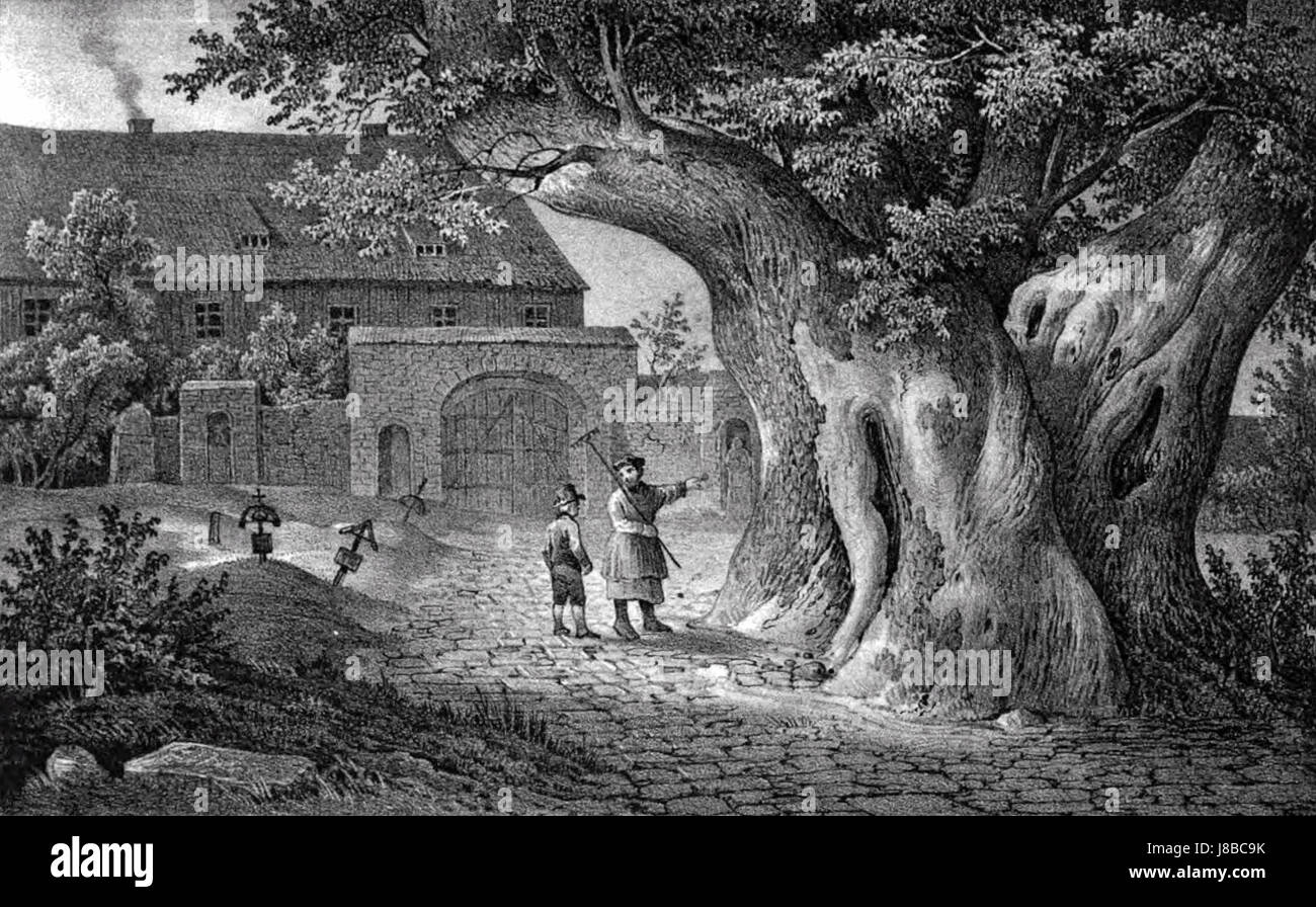 The Kaditzer Linde, located in Germany, is a historic linden tree ...