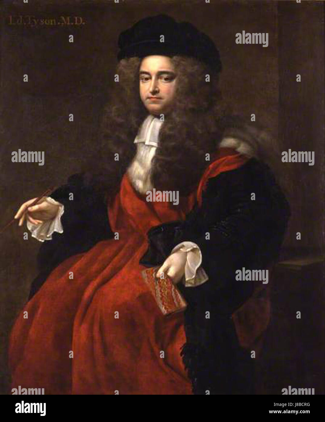 Edward tyson hi-res stock photography and images - Alamy