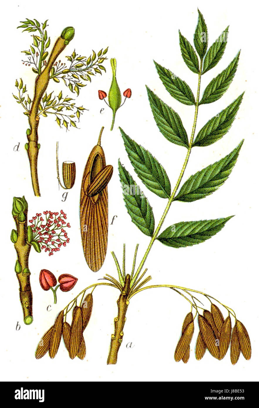 Map of excelsior hi-res stock photography and images - Alamy