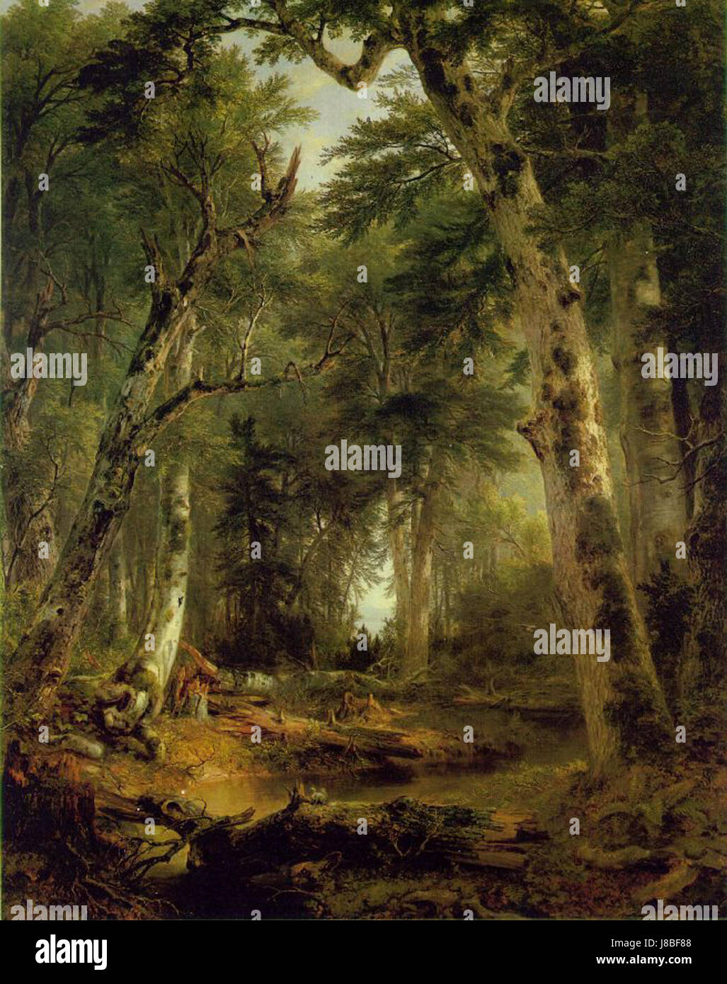 *In The Woods* by Asher B. Durand is a 19th-century landscape painting ...