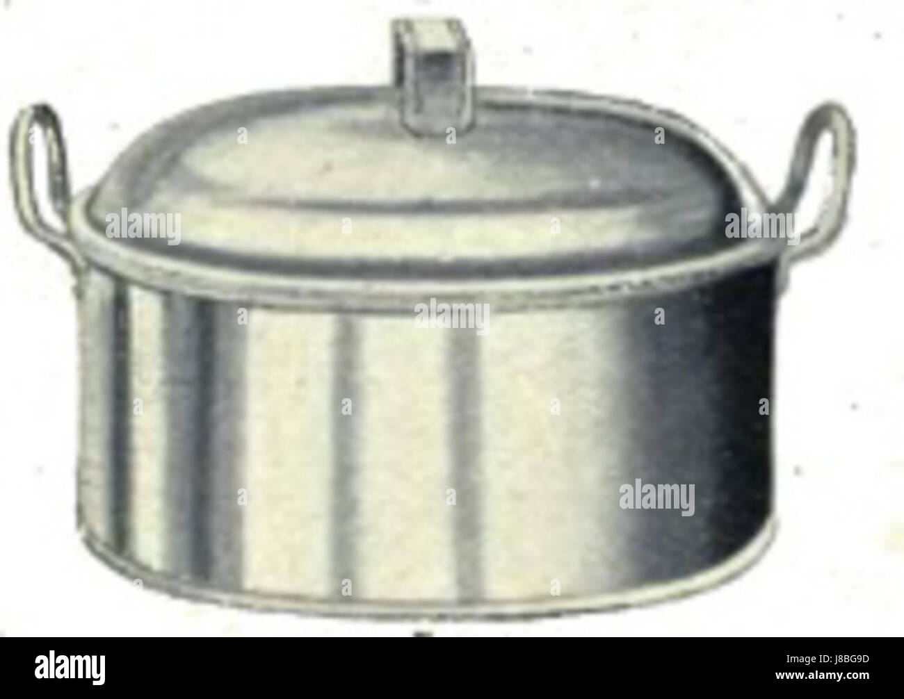 A fish kettle is a specialized cooking pot designed for poaching whole ...