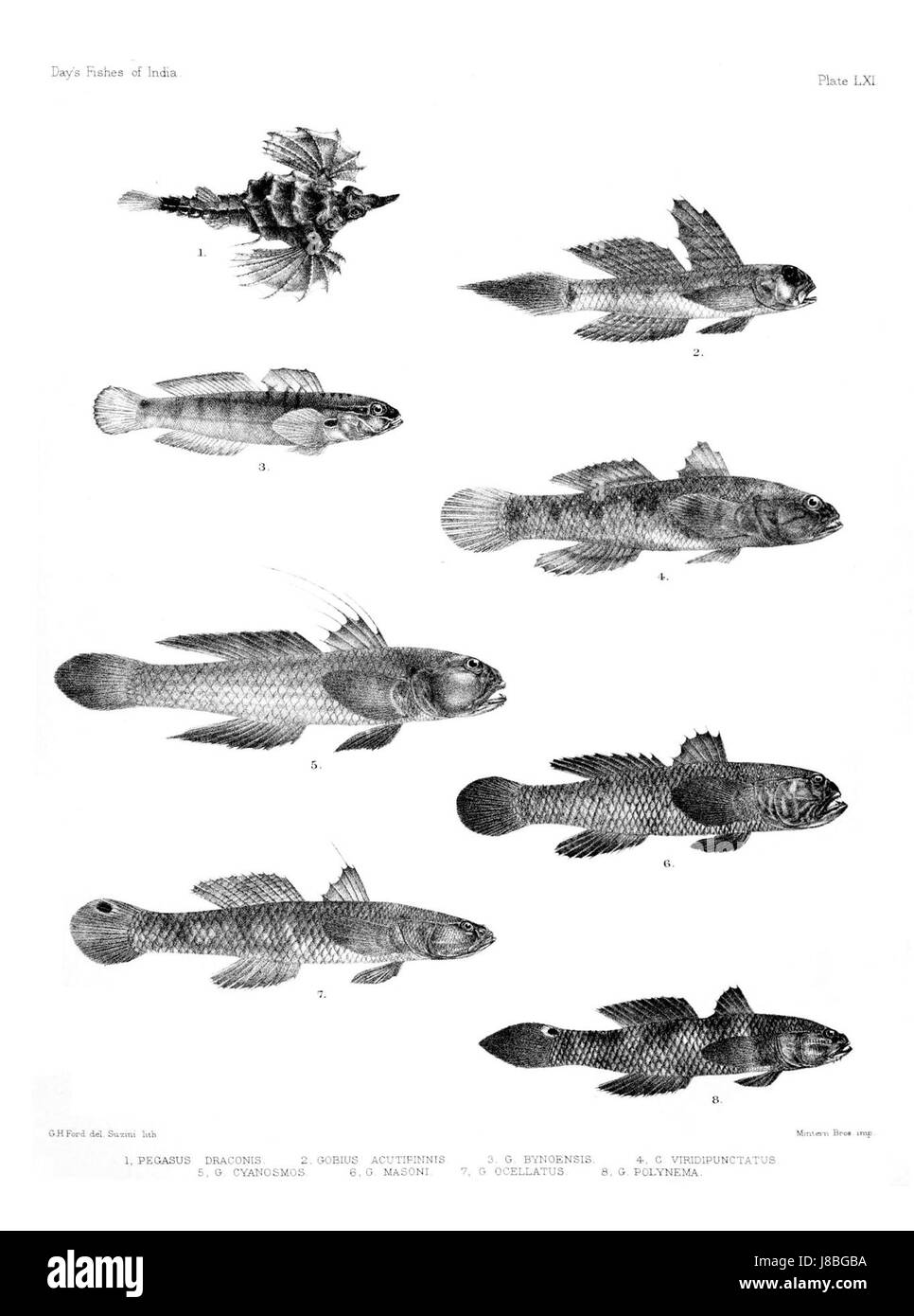 Scientific atlas Cut Out Stock Images & Pictures - Alamy