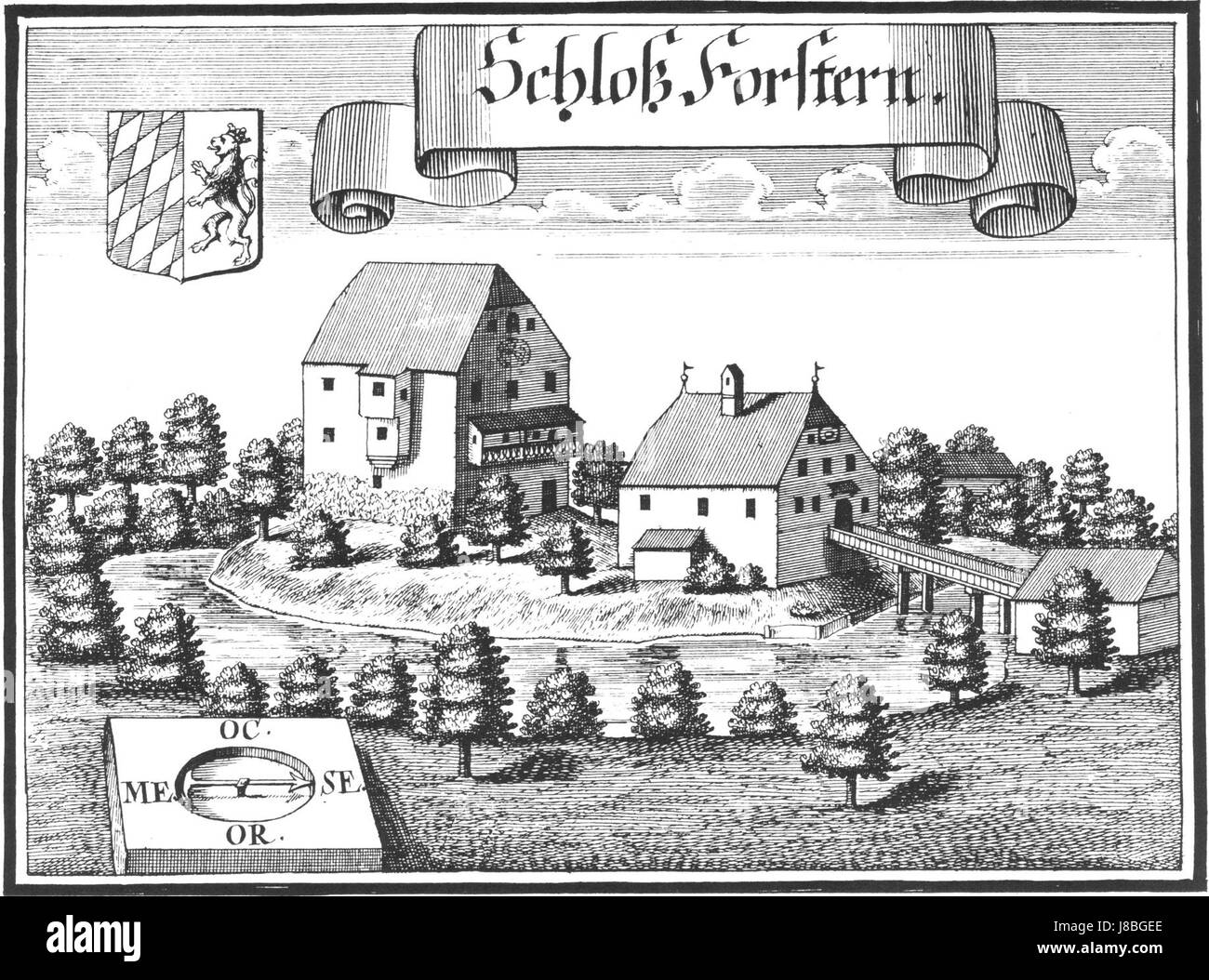 Forstern hi-res stock photography and images - Alamy