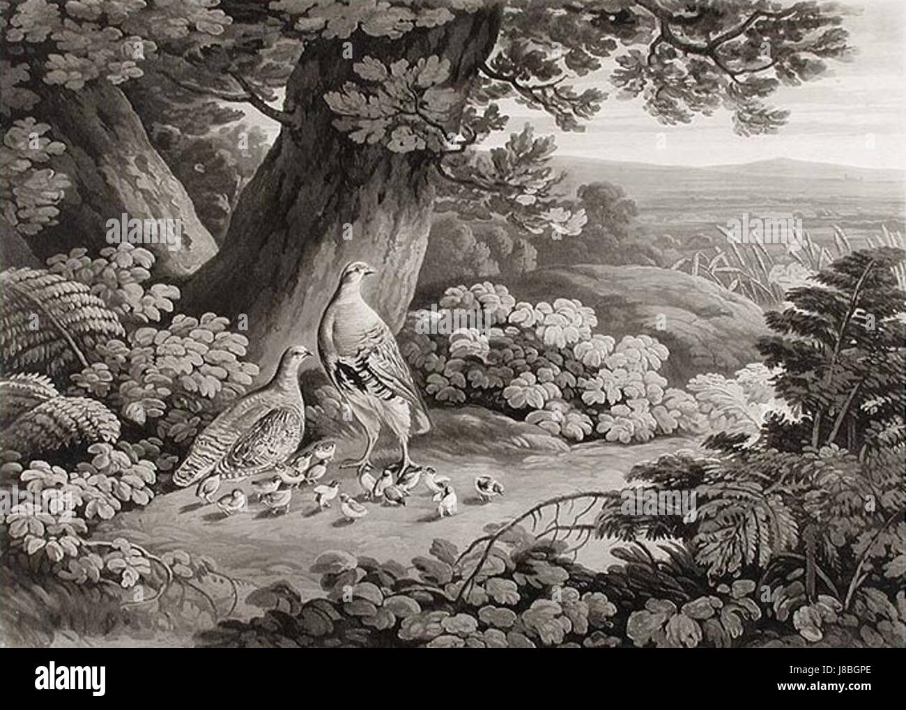 Frederick Christian Lewis was a British artist known for his ...