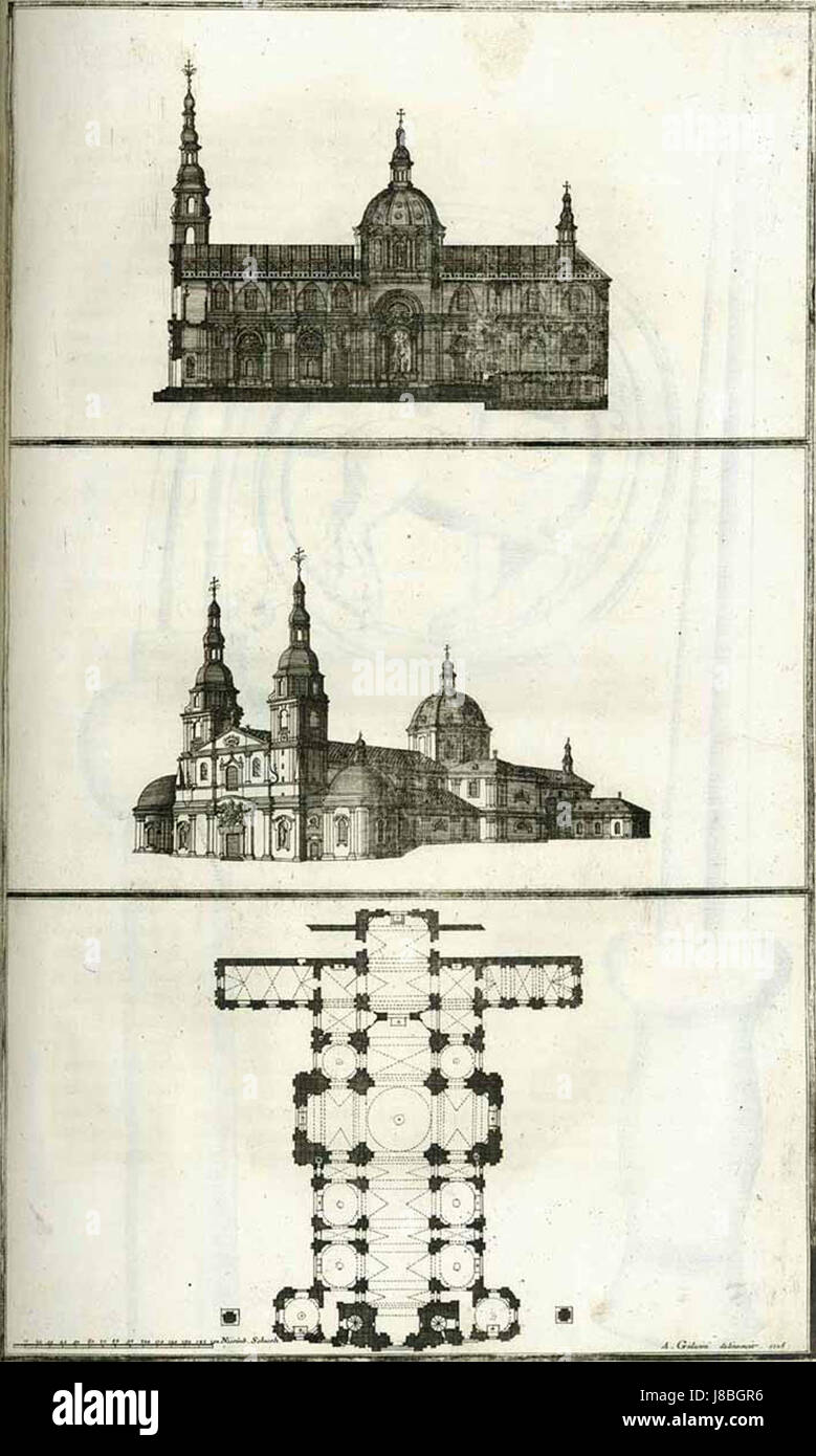 Fuldensis hi-res stock photography and images - Alamy