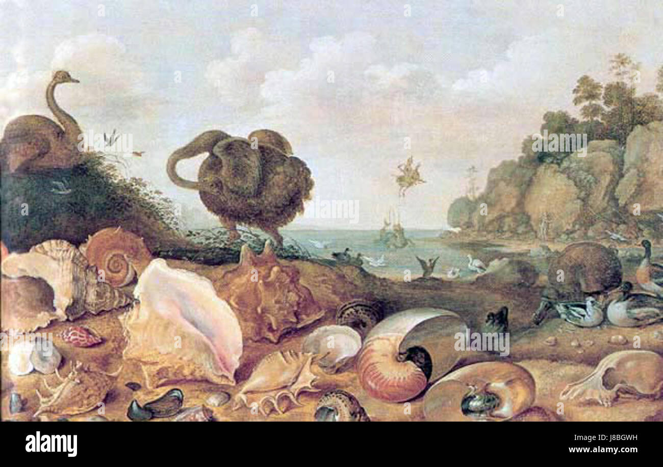 The Dodo, an extinct flightless bird, is depicted alongside seashells ...