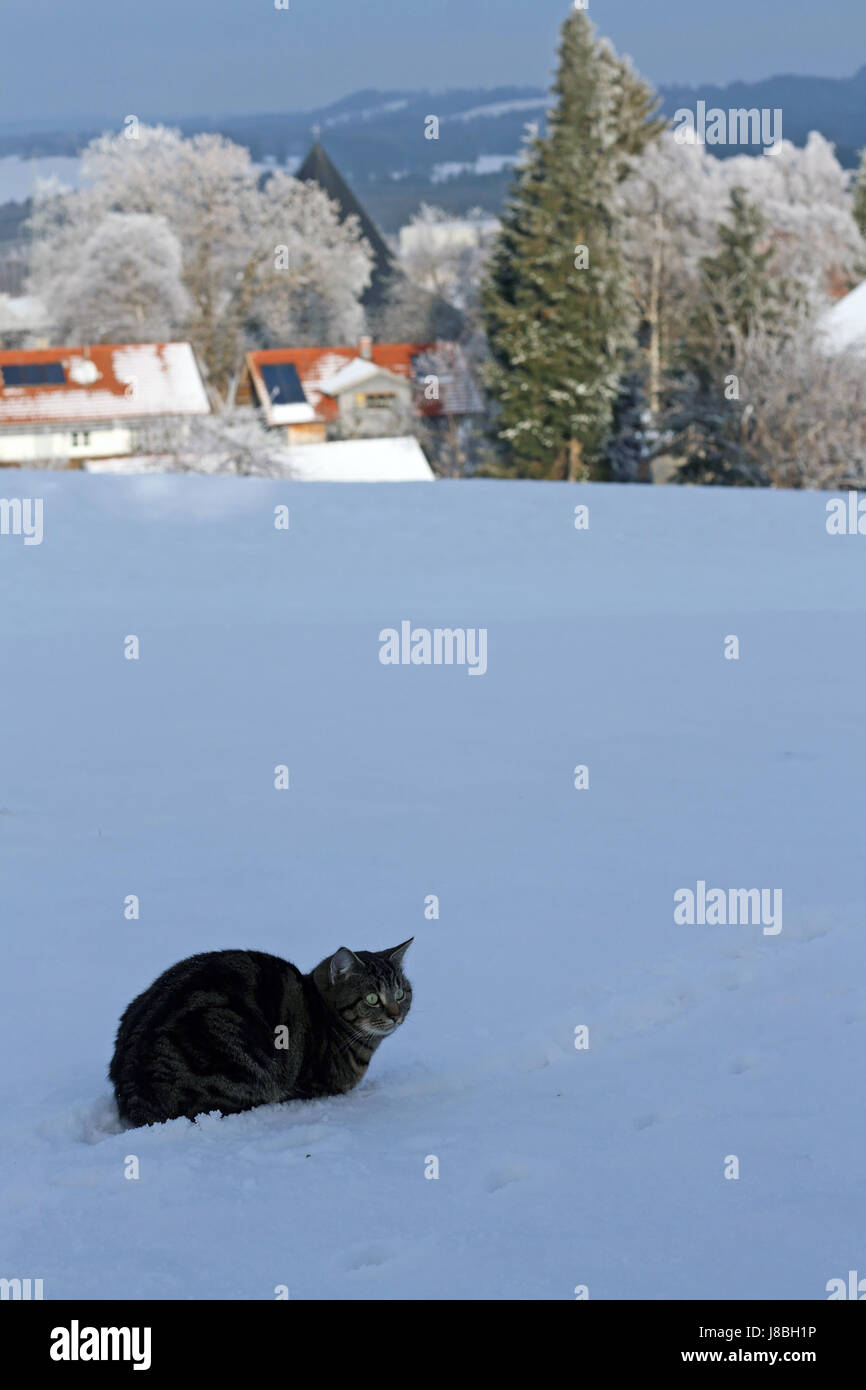 Still persist hi-res stock photography and images - Alamy