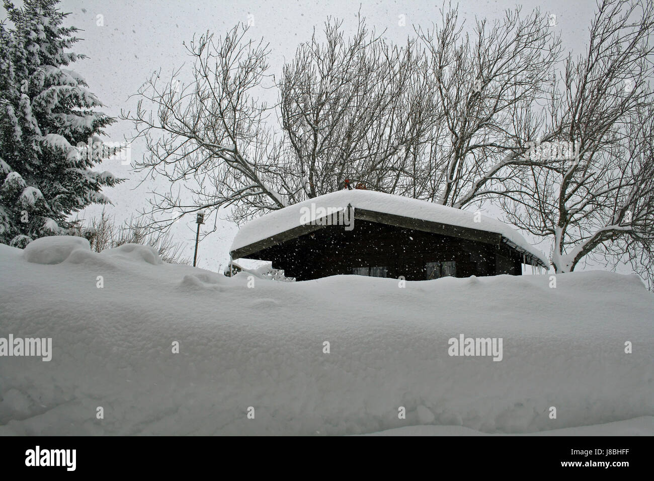 lost in the snow Stock Photo - Alamy