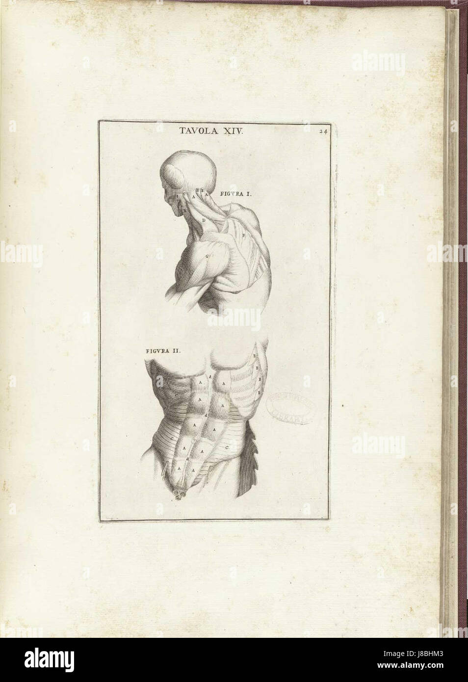 Japanese ink illustration hi-res stock photography and images - Alamy