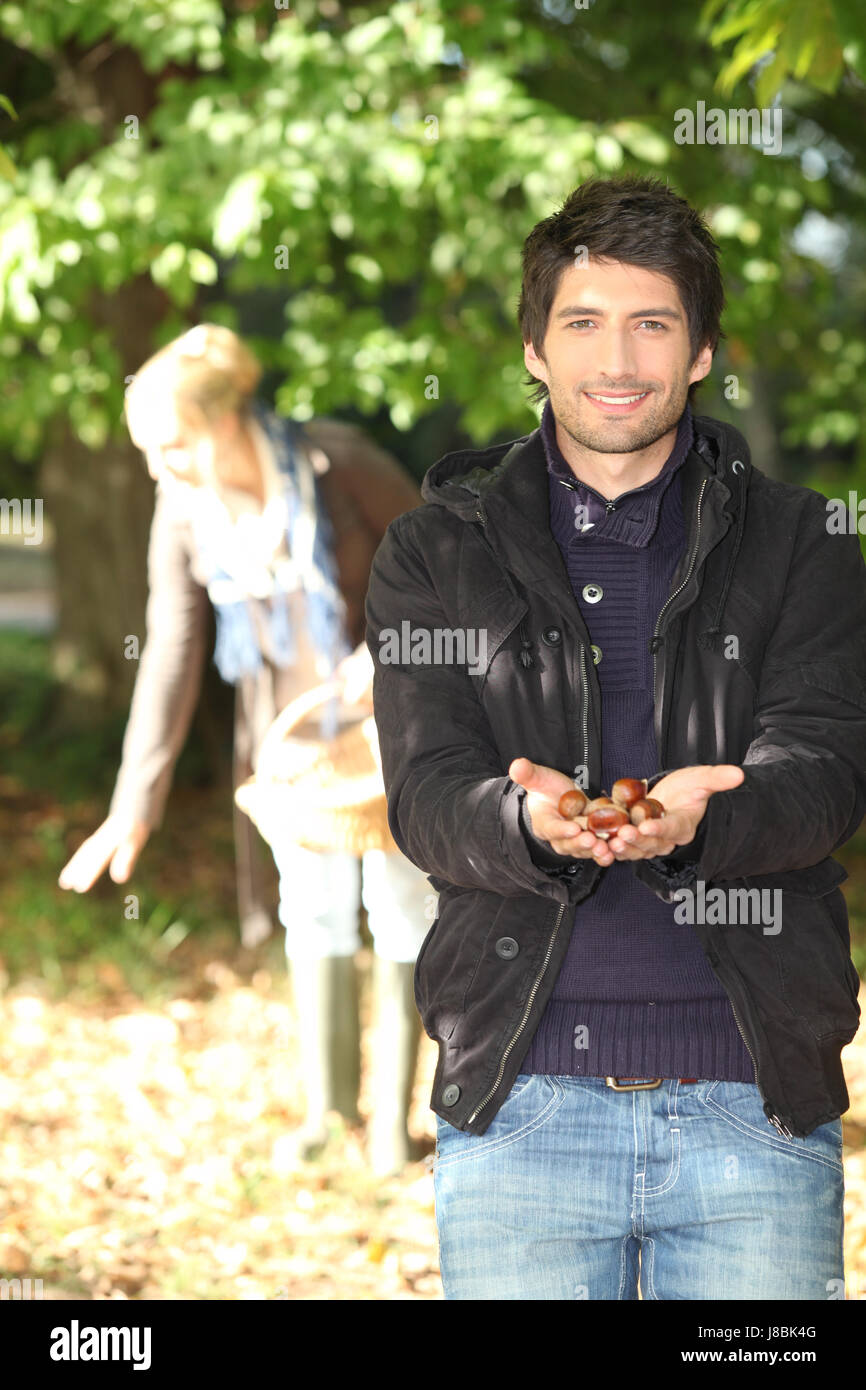 fruit, nut, chestnut, handful, forest, nature, assembly, gathering ...