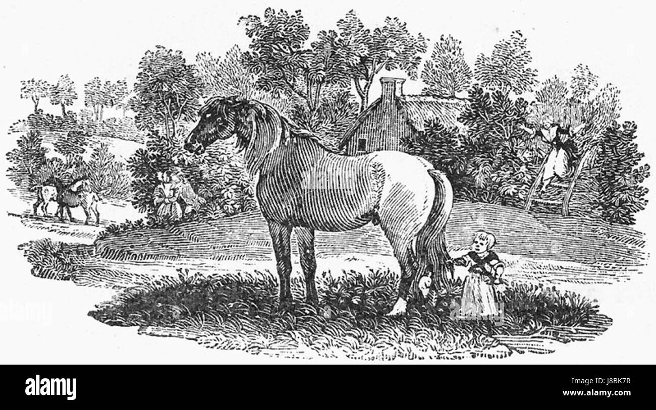 Holzstich refers to woodcut prints, a traditional method of printmaking ...