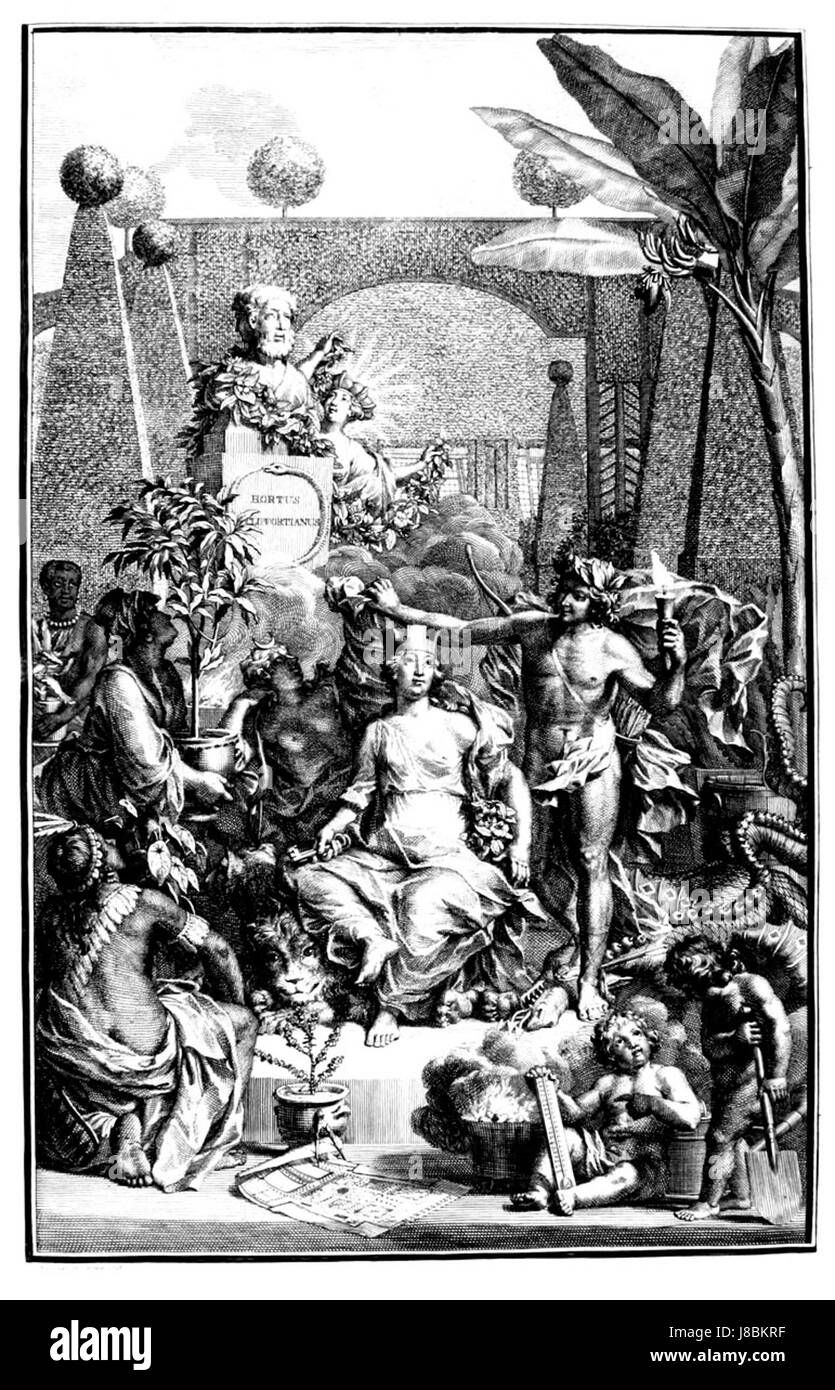 Hortus cliffortianus Black and White Stock Photos & Images - Alamy