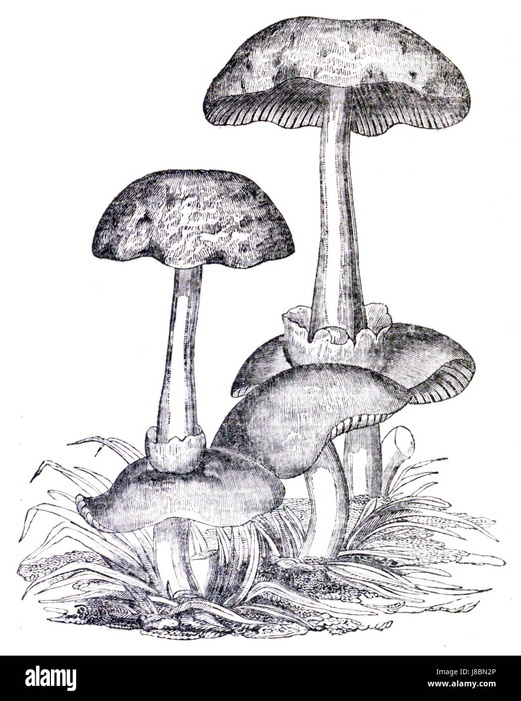 Map of knapp hi-res stock photography and images - Alamy